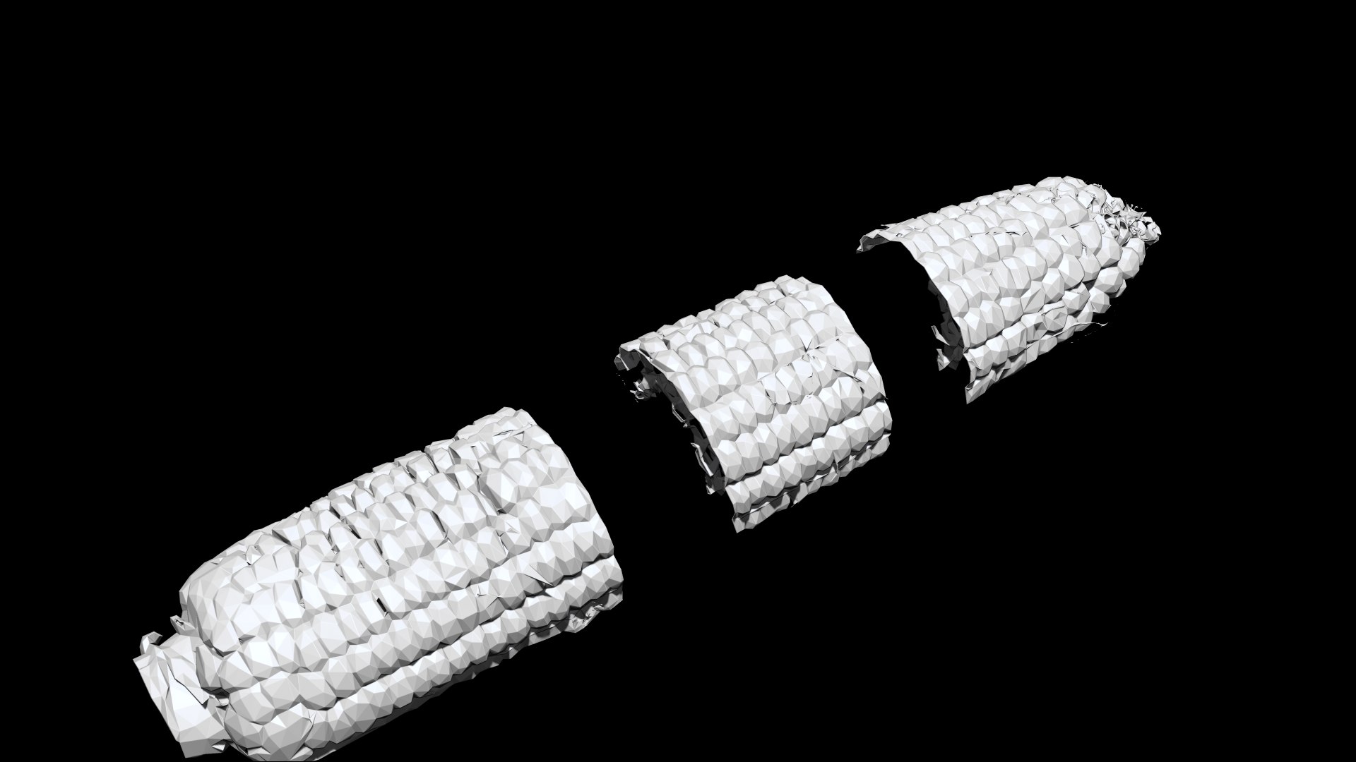Corn 3D CT Scan Model Cut3 Half Decimate 3 Percent 3D Model ...