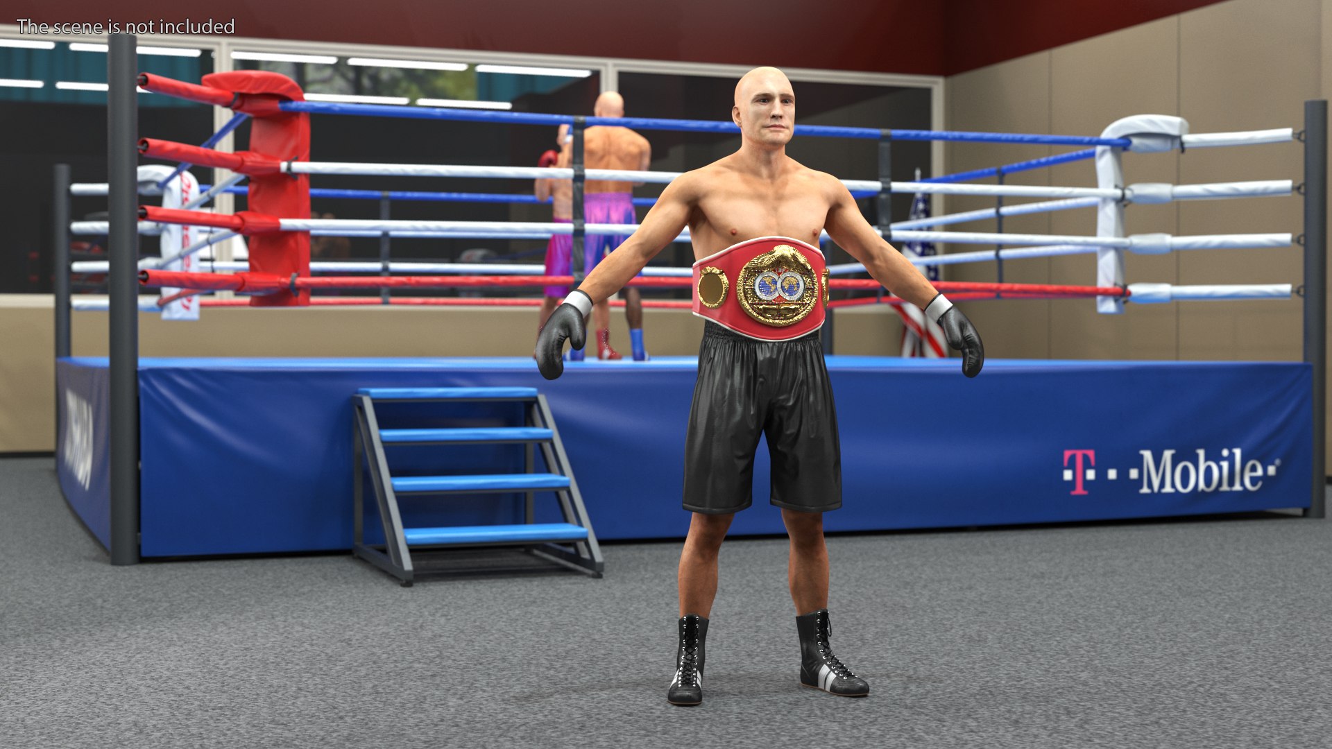 IBF Boxing Champion Rigged For Cinema 4D 3D - TurboSquid 2239651