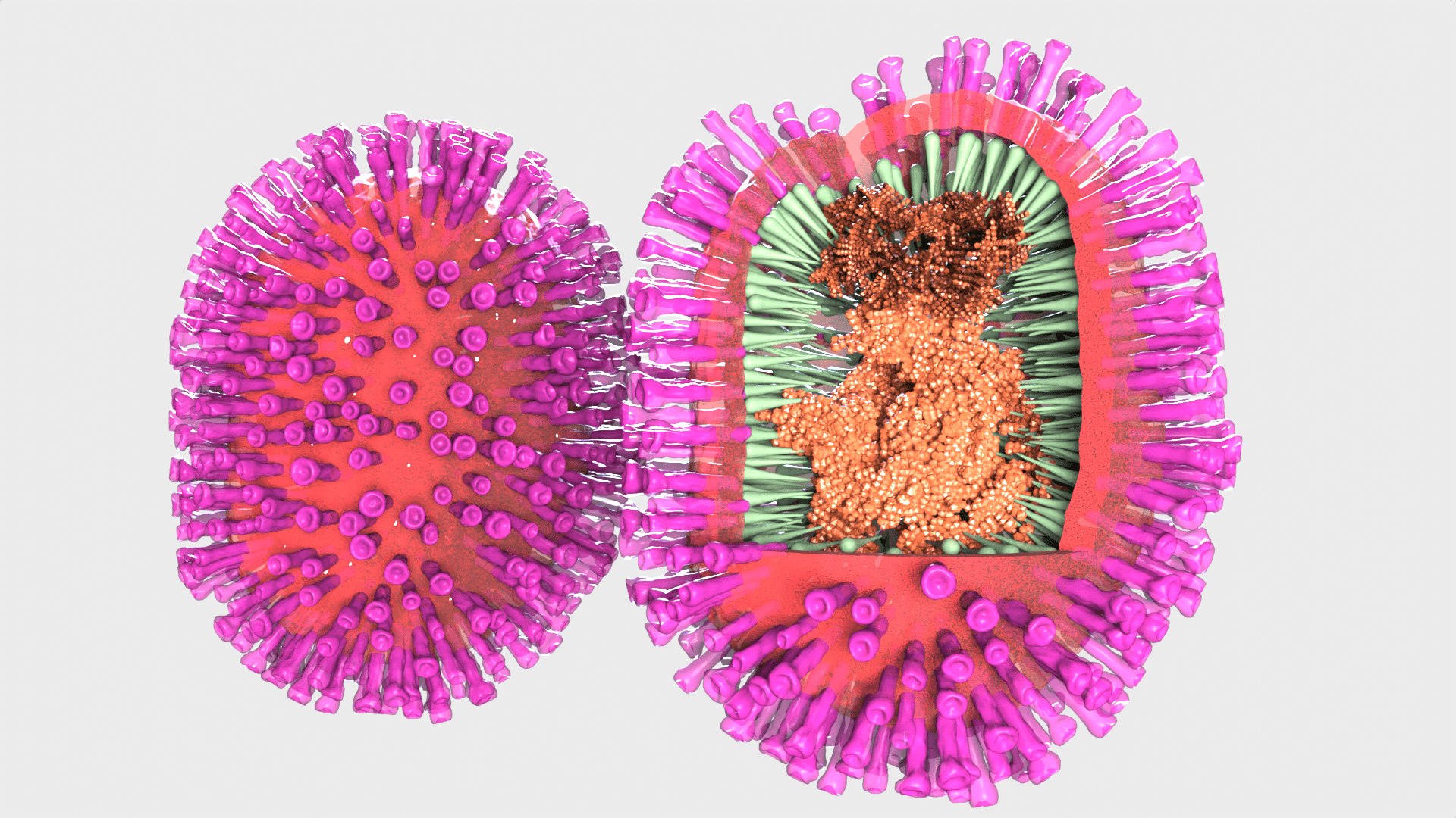 3D Flu Influenza Molecule Model - TurboSquid 2271250
