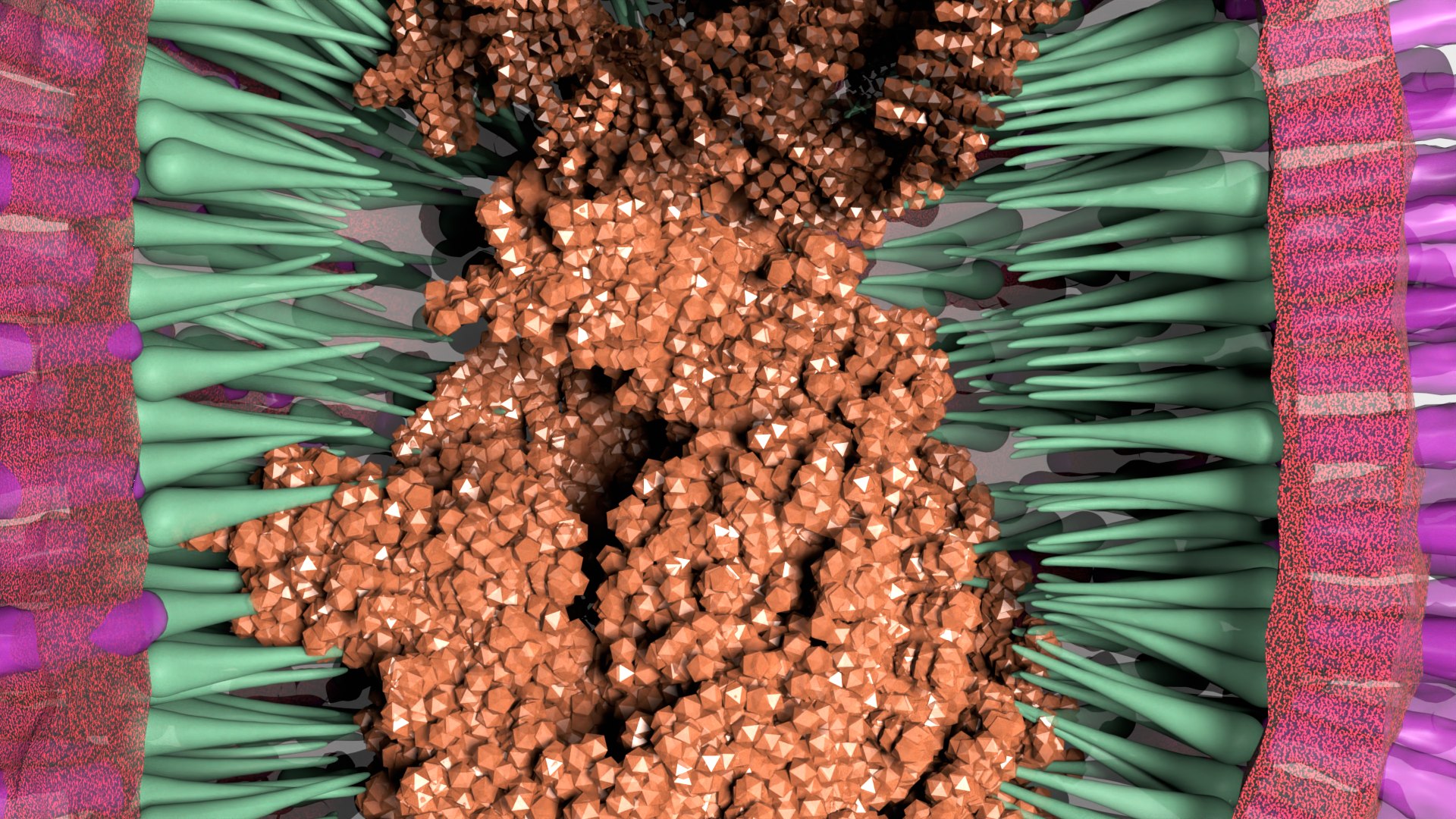 3D Flu Influenza Molecule Model - TurboSquid 2271250