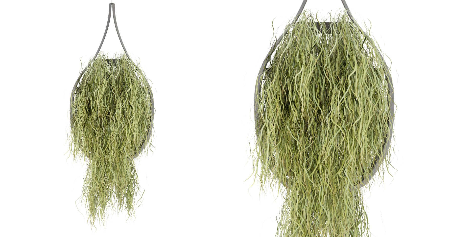 Collection plant vol 253 - blender model 3D - TurboSquid 2088269