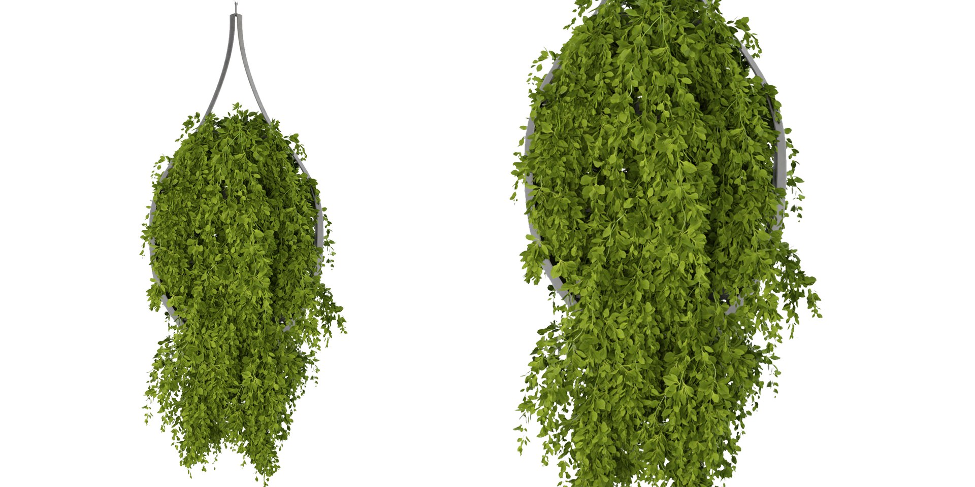 Collection plant vol 253 - blender model 3D - TurboSquid 2088269