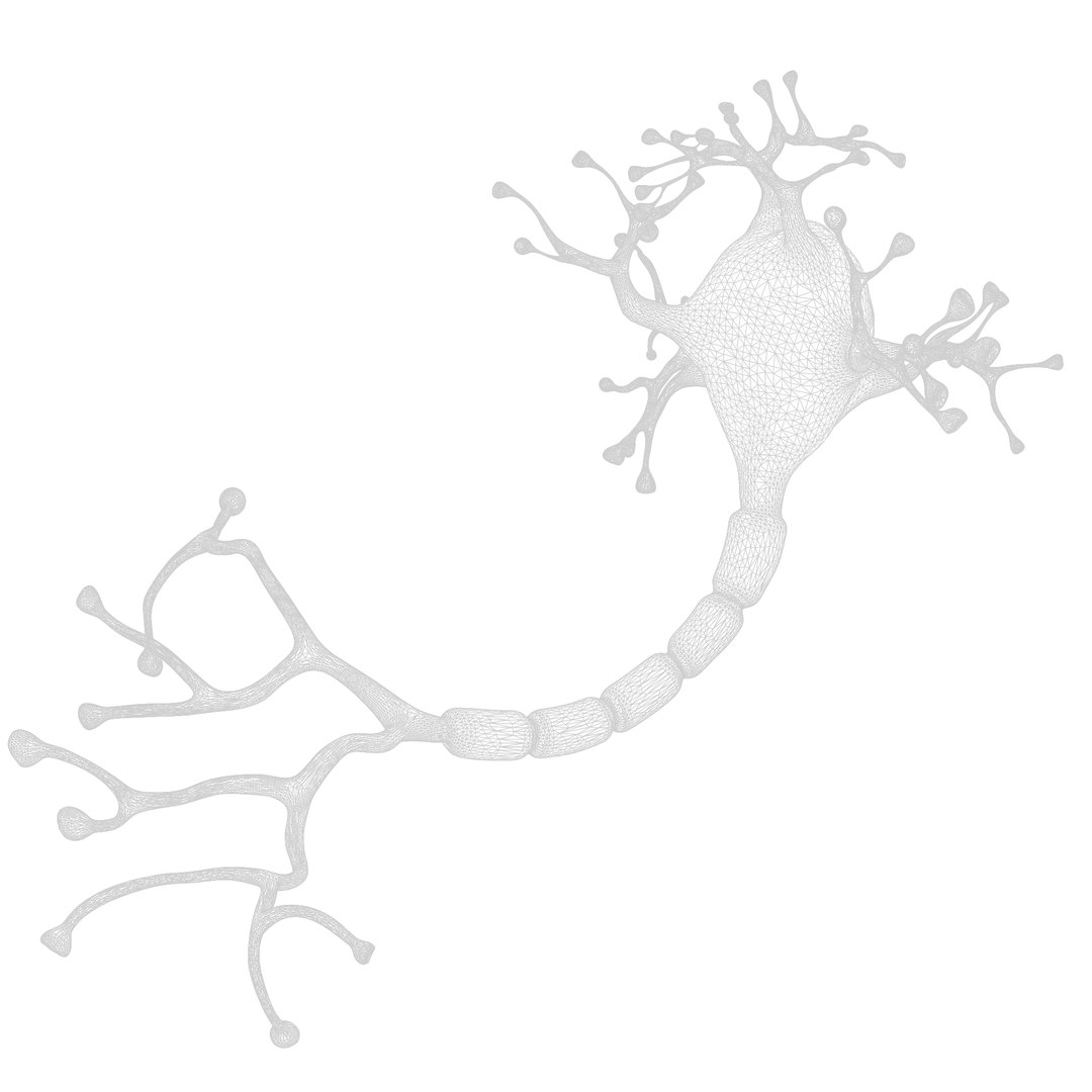 3D Neuron Human Model - TurboSquid 1846293