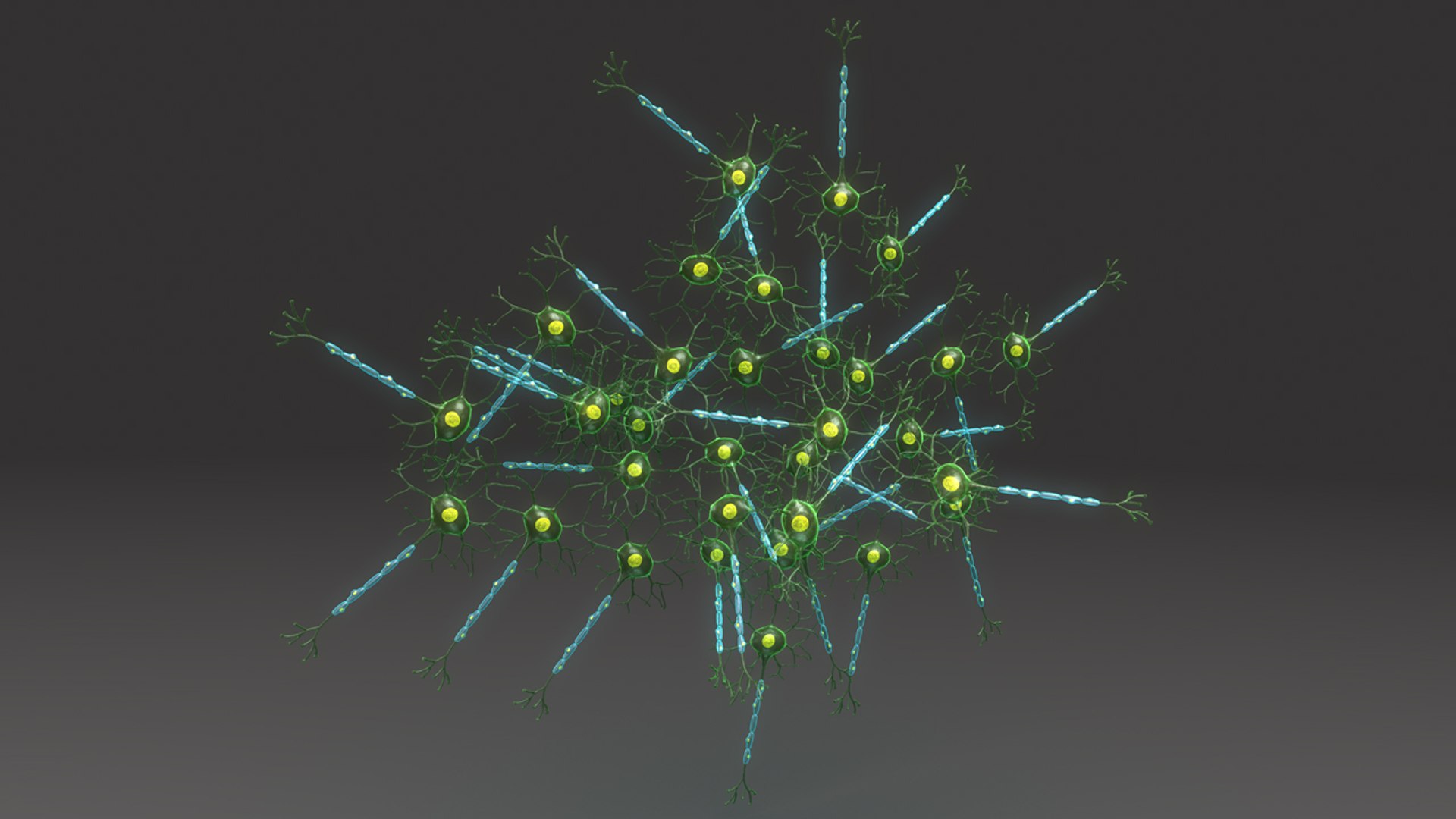 Structure Neuron 3d Model