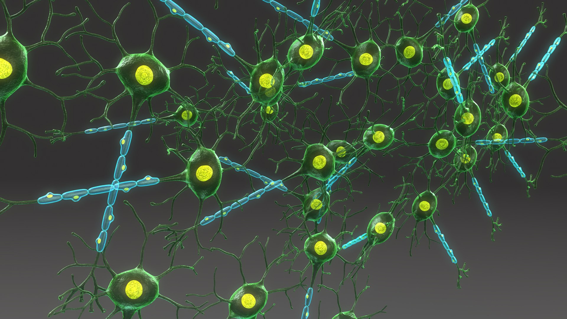 Structure Neuron 3d Model