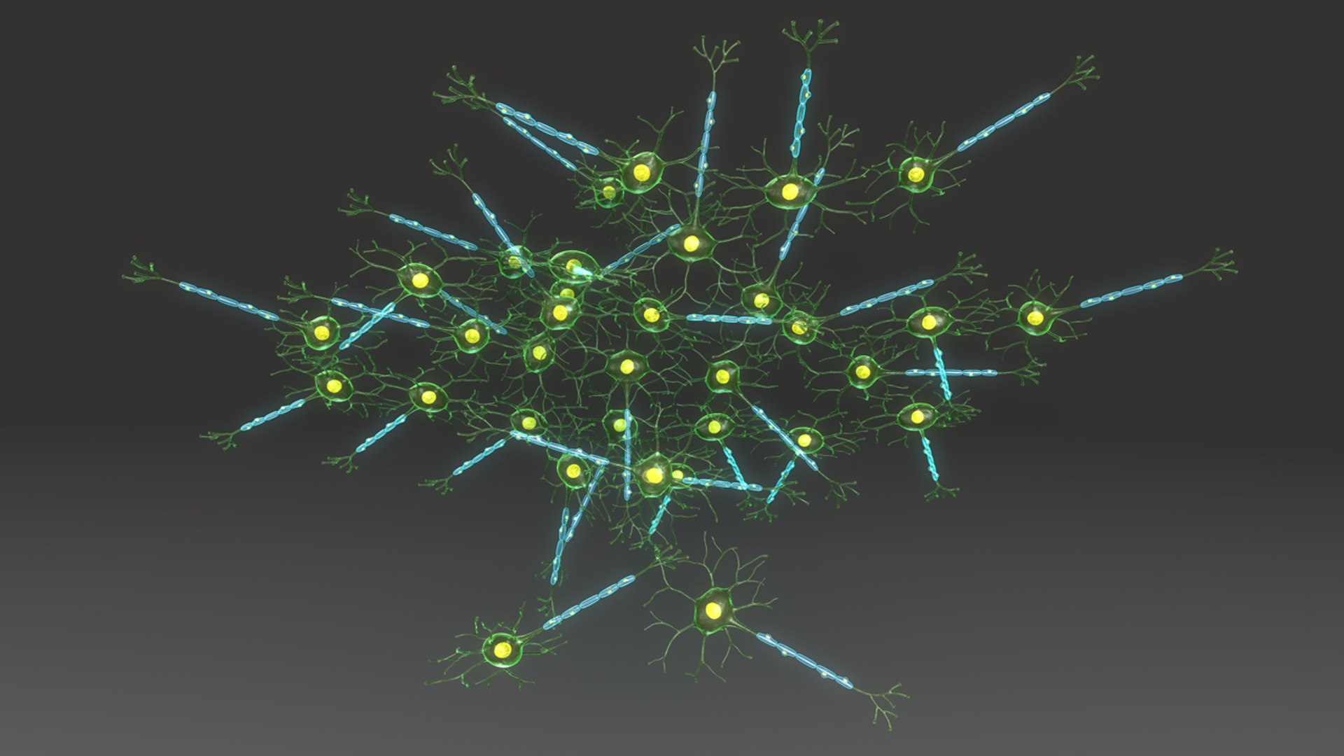Structure Neuron 3d Model