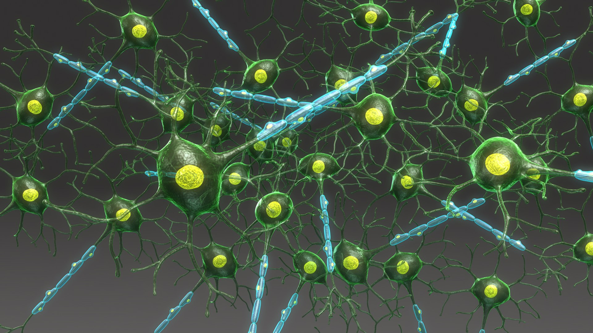 Structure Neuron 3d Model
