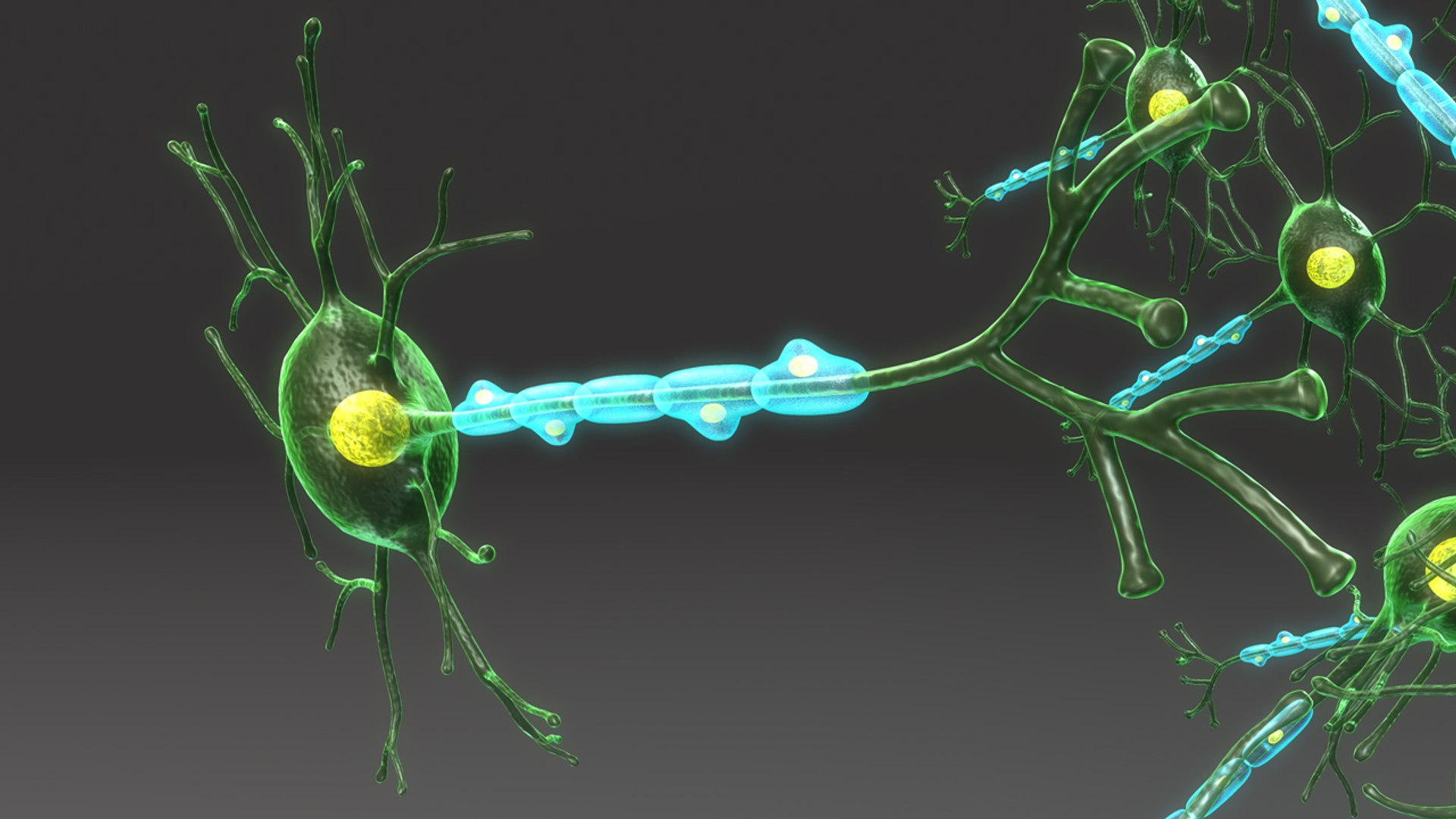 Structure Neuron 3d Model