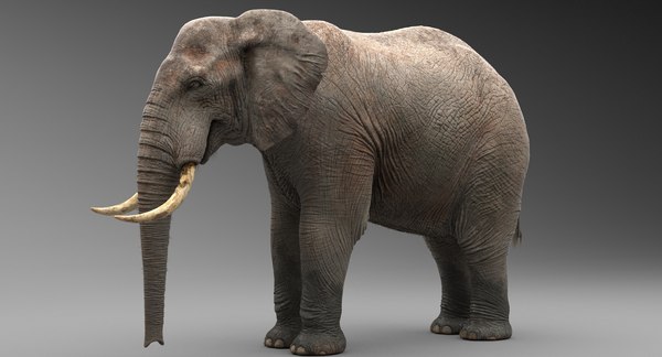 3d realistic elephant model