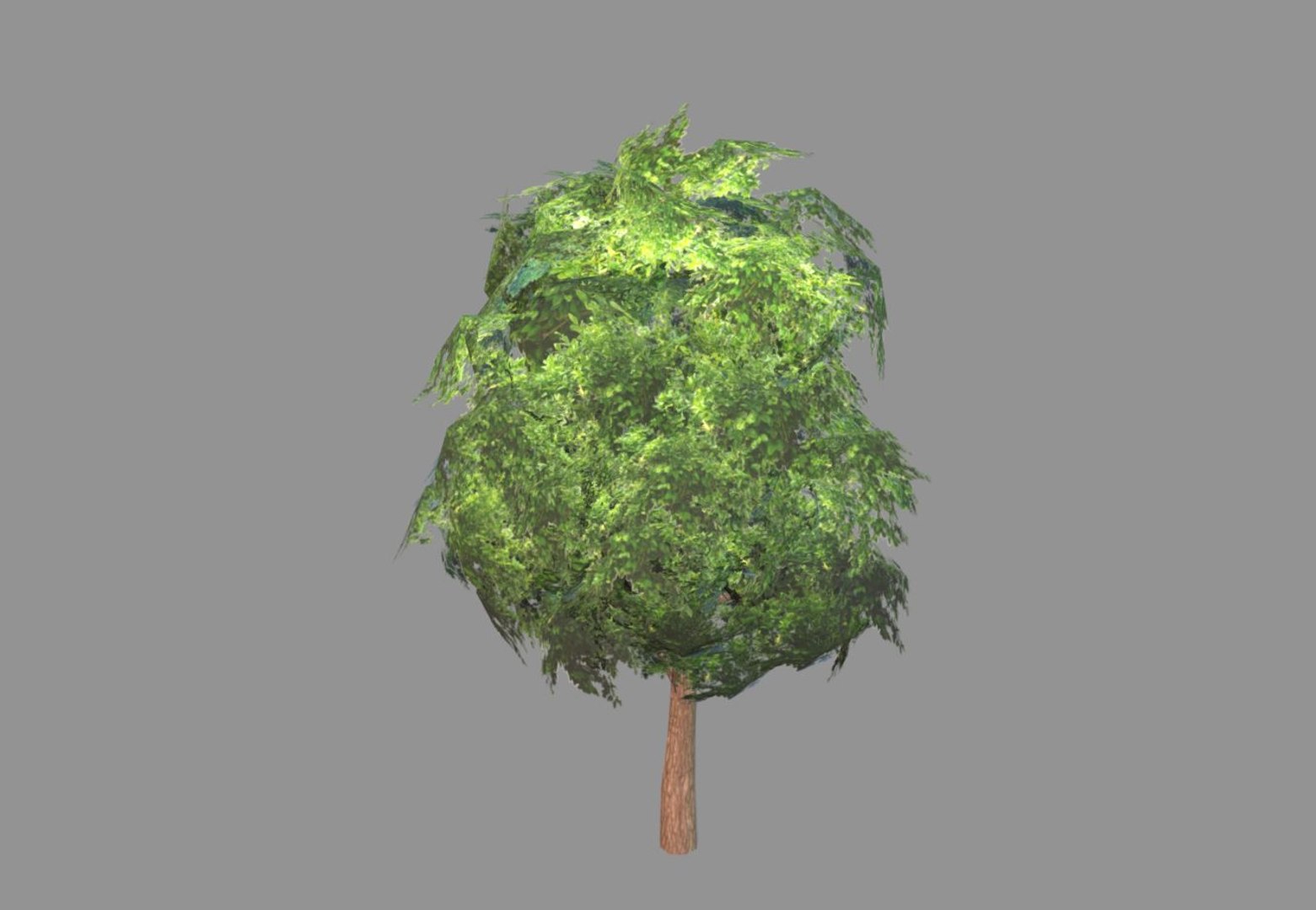 Tree 3D Model - TurboSquid 1322262
