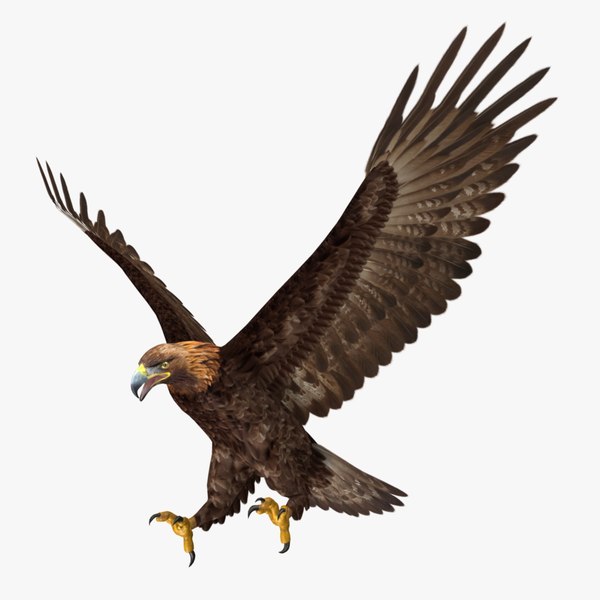 3d model golden eagle
