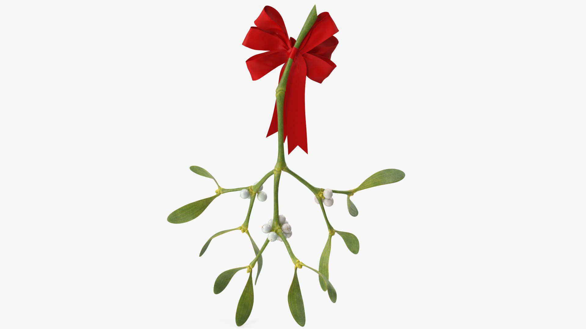 Mistletoe 1 with Red Bow 3D model - TurboSquid 1804354