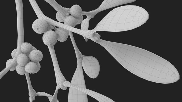 Mistletoe 1 with Red Bow 3D model - TurboSquid 1804354
