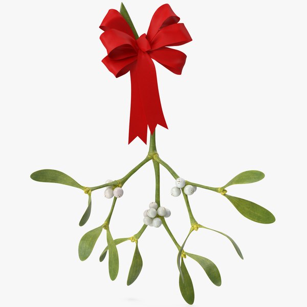 Mistletoe 3D Models for Download | TurboSquid