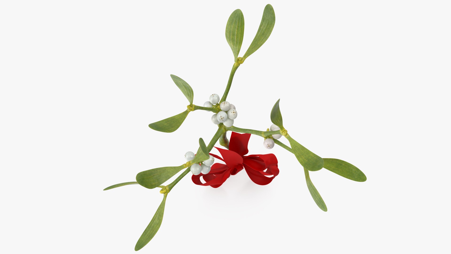 Mistletoe 1 with Red Bow 3D model - TurboSquid 1804354