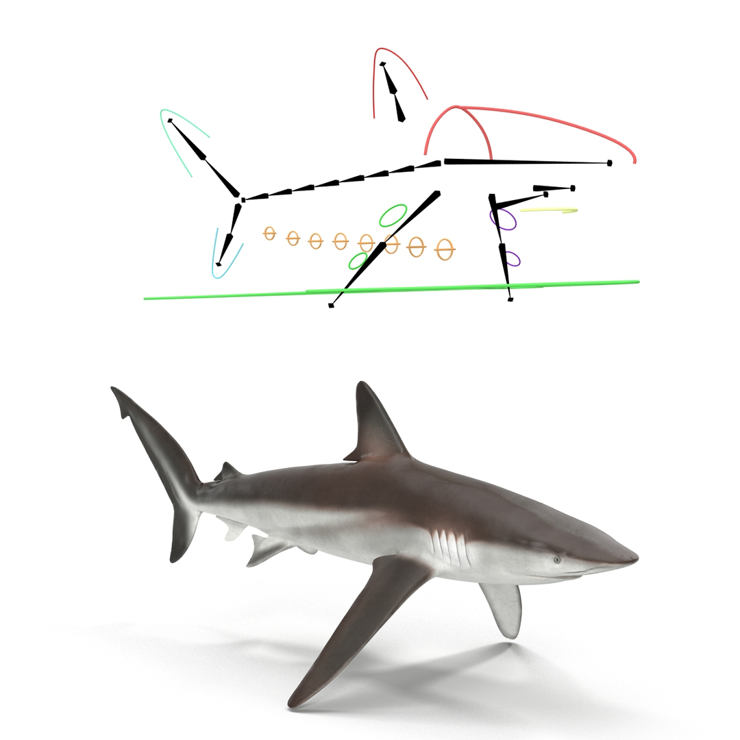 Max Whaler Shark Rigged