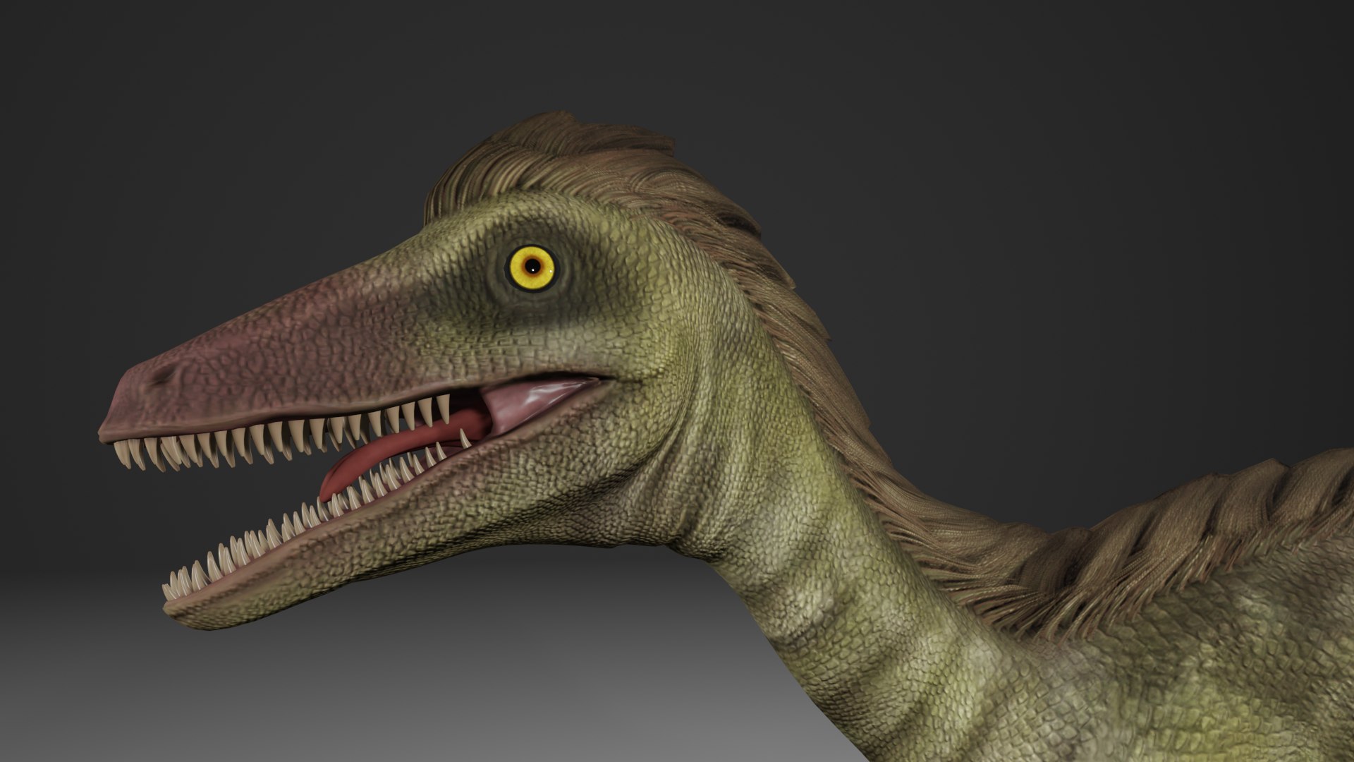 3D Velociraptor Dinosaur Model - TurboSquid 2127779