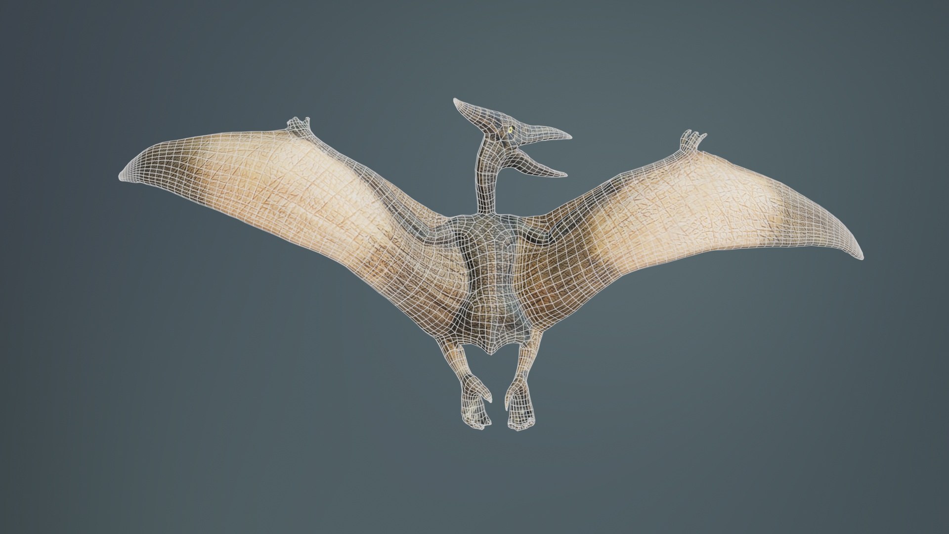 3D Pterodactylus Remastered - TurboSquid 2363571
