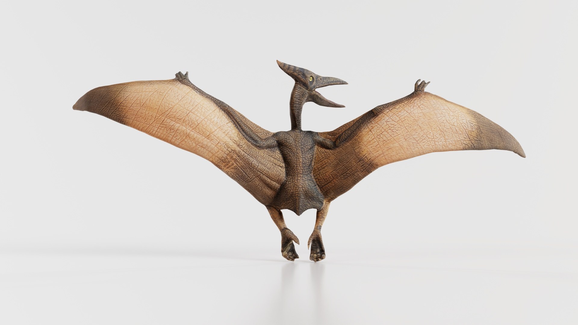 3D Pterodactylus Remastered - TurboSquid 2363571