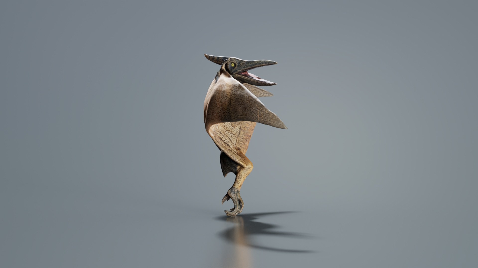 3D Pterodactylus Remastered - TurboSquid 2363571