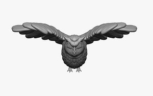 Free 3D Owl Models - Available For Download On TurboSquid