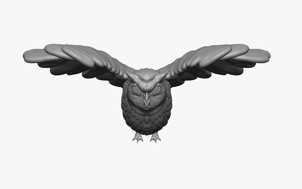 Free 3D Owl Models | TurboSquid