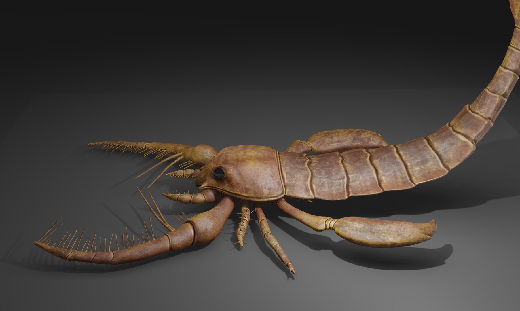 Jaekelopterus Dinosaur 3D - TurboSquid 2182132