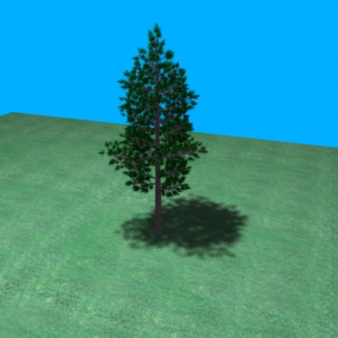red pine tree 3d 3ds