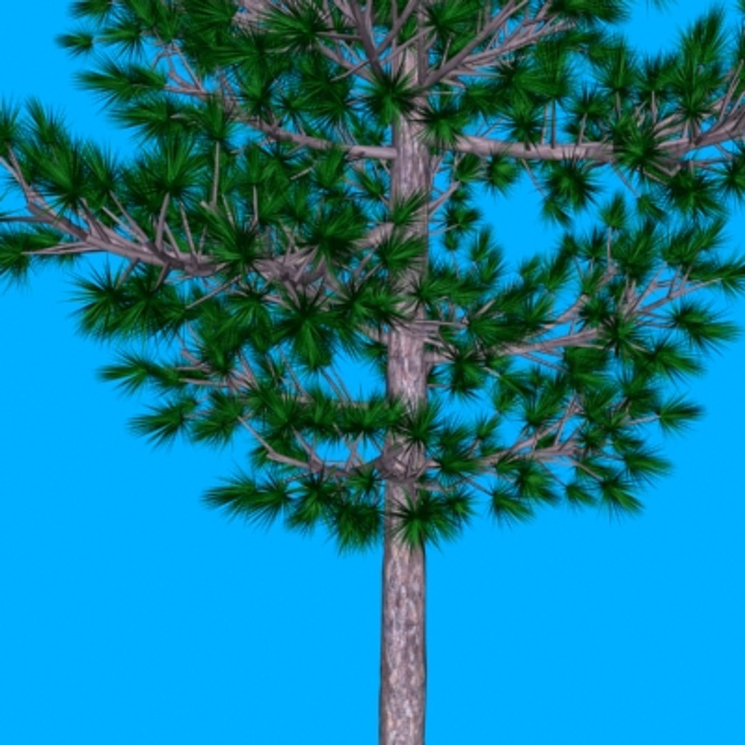 red pine tree 3d 3ds