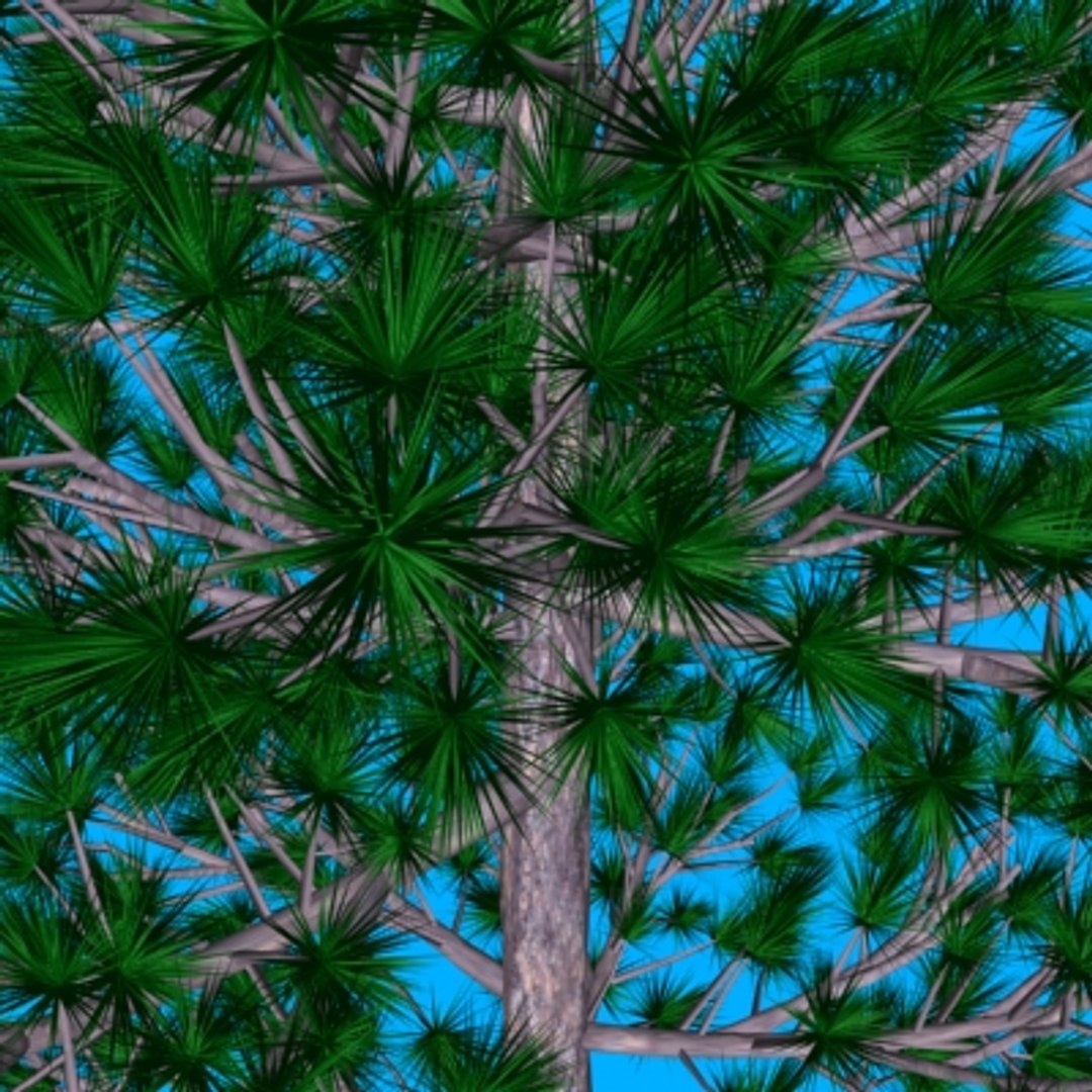 red pine tree 3d 3ds