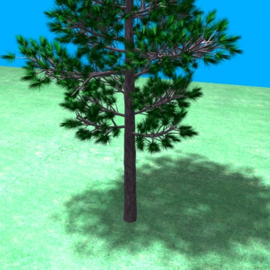 red pine tree 3d 3ds