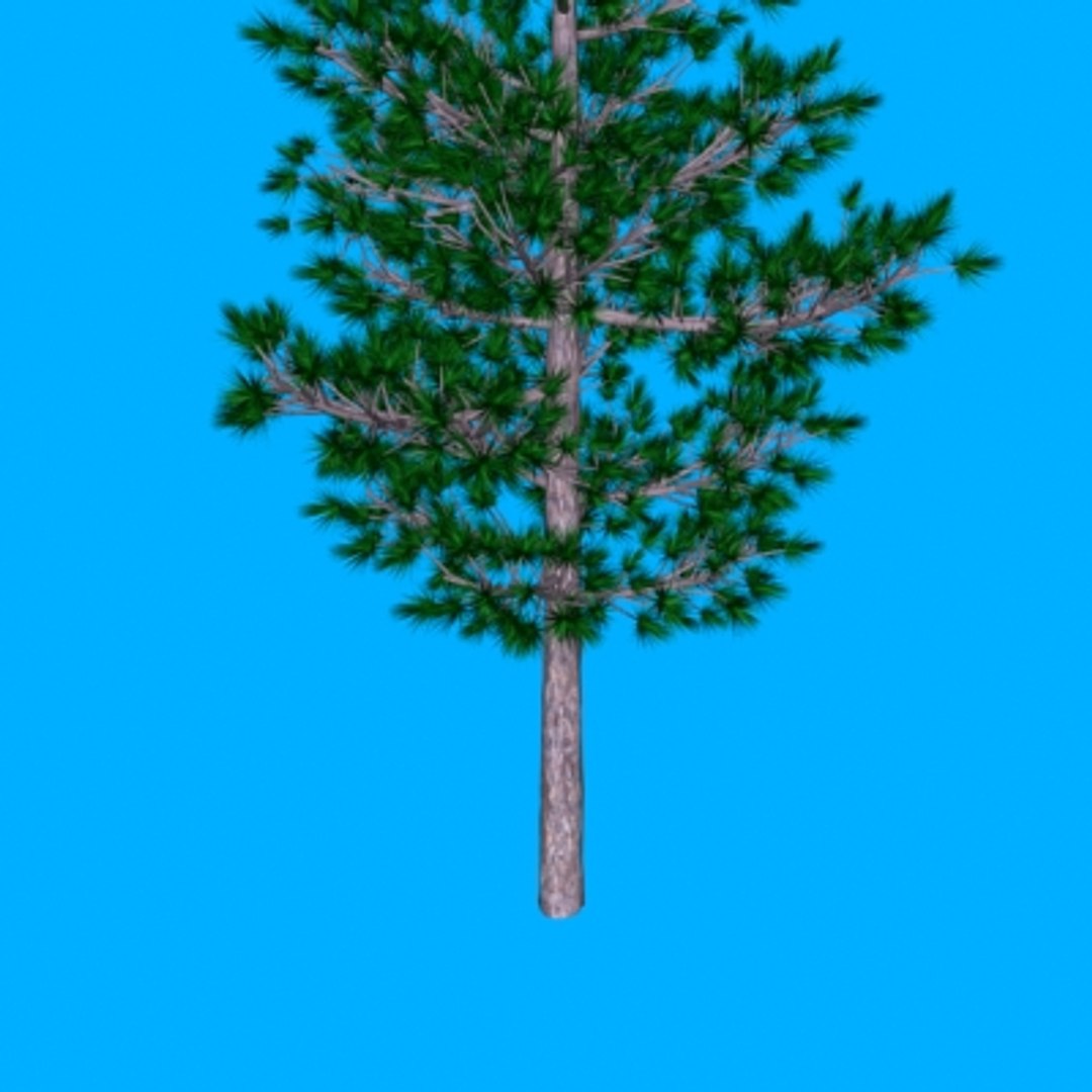 red pine tree 3d 3ds