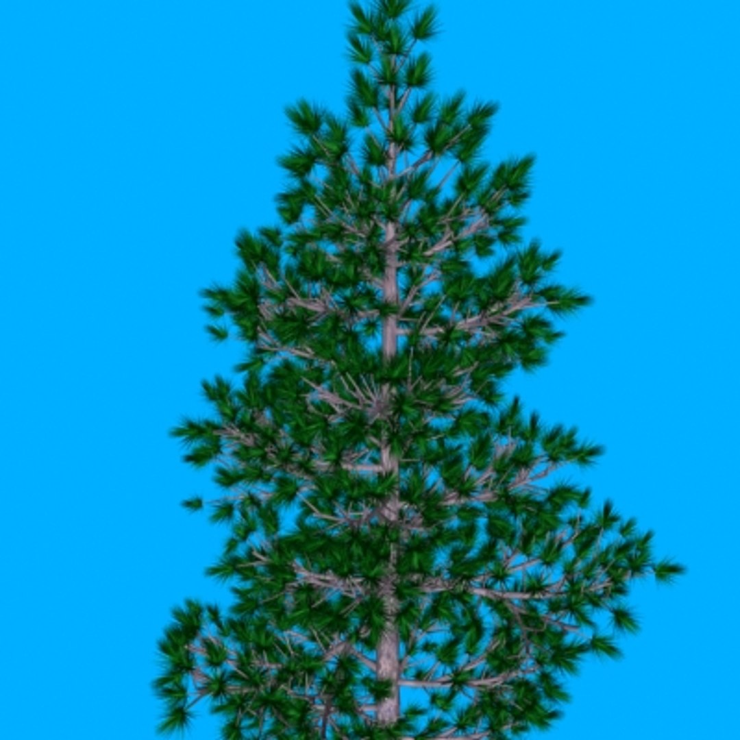 red pine tree 3d 3ds