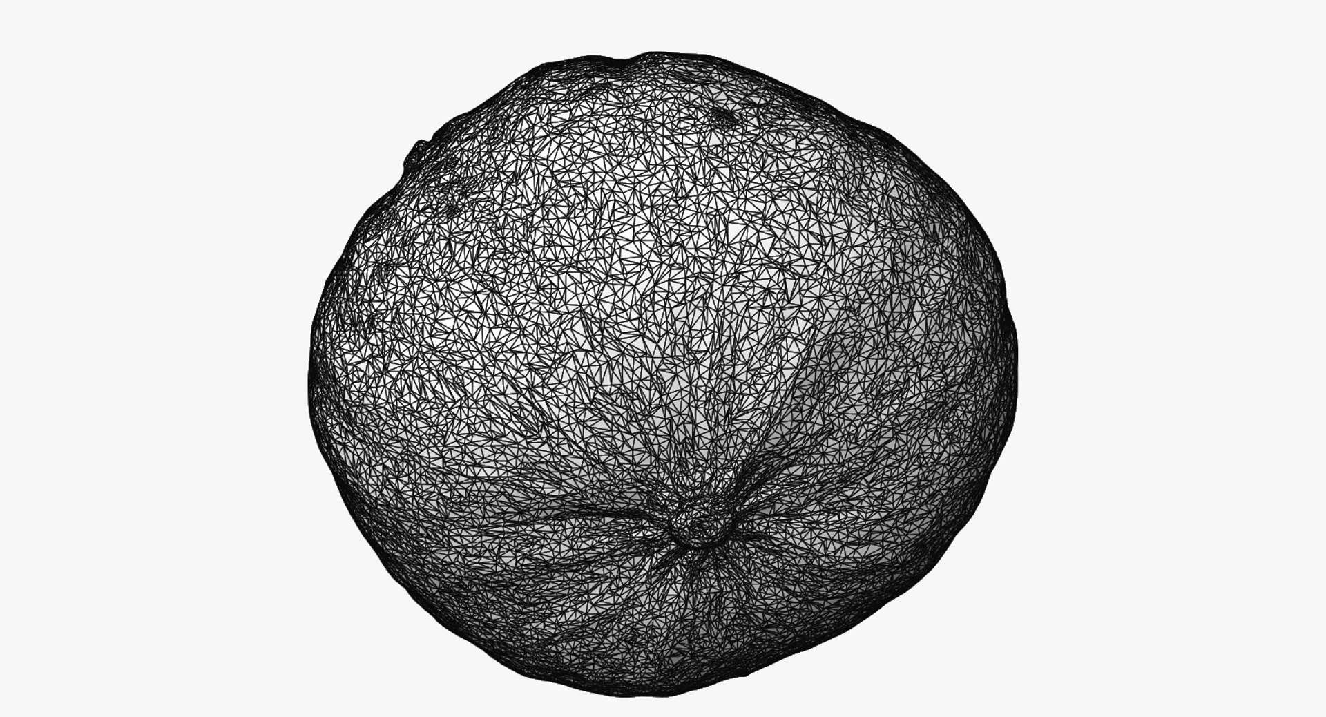 Hokkaido Squash 3d Model