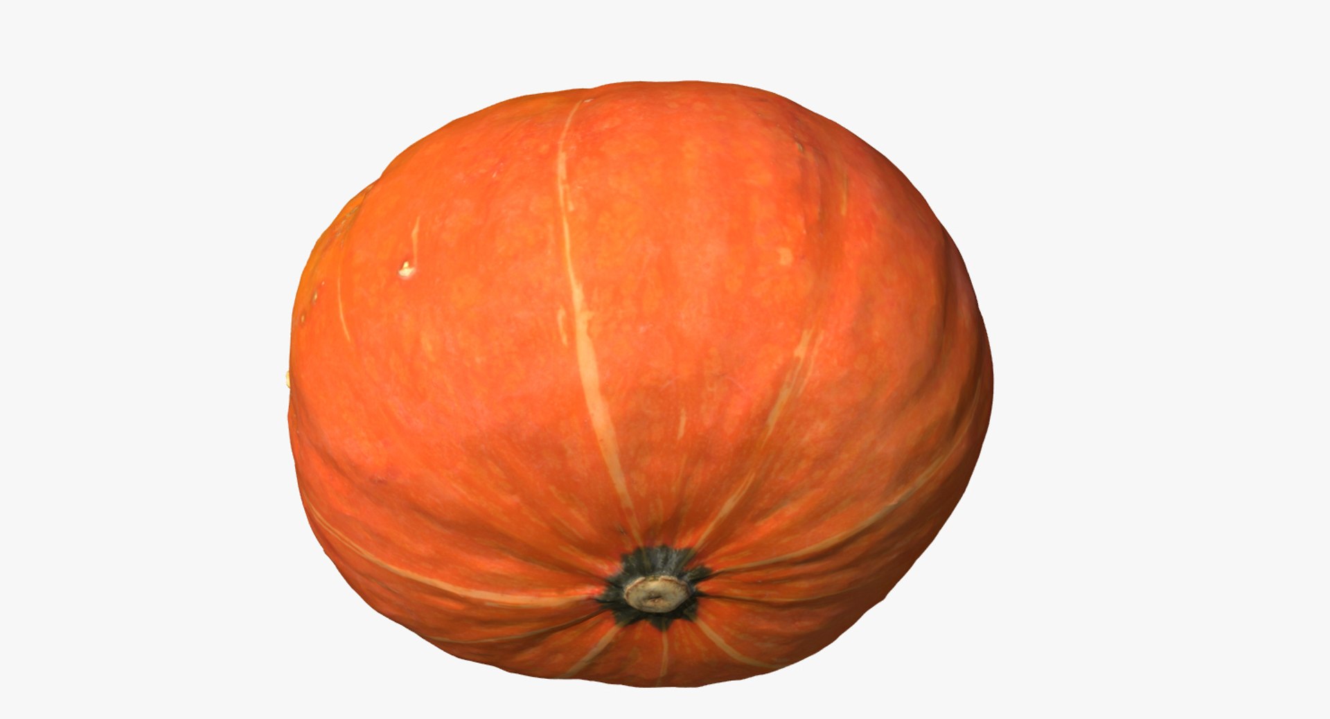 Hokkaido Squash 3d Model