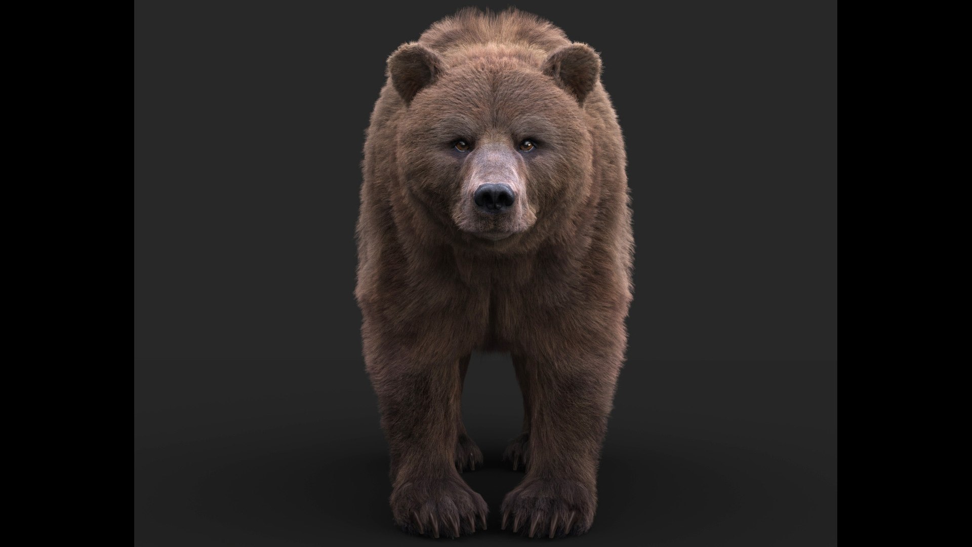 BEAR RIG XGEN-CORE 3D model - TurboSquid 2181155