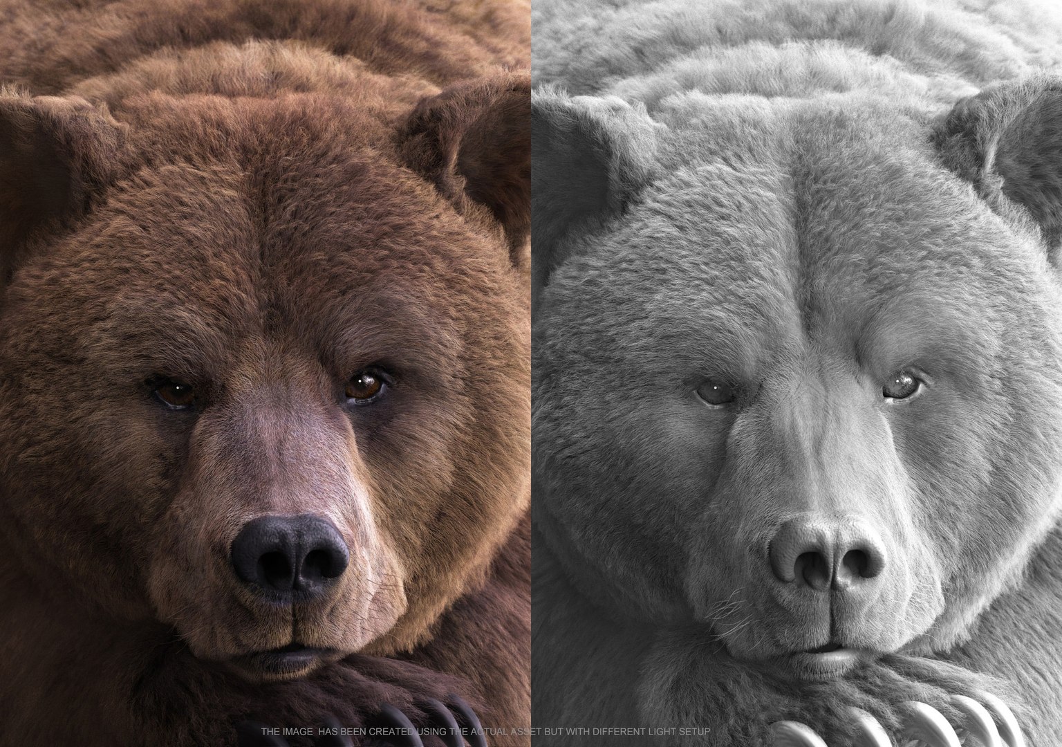 BEAR RIG XGEN-CORE 3D model - TurboSquid 2181155