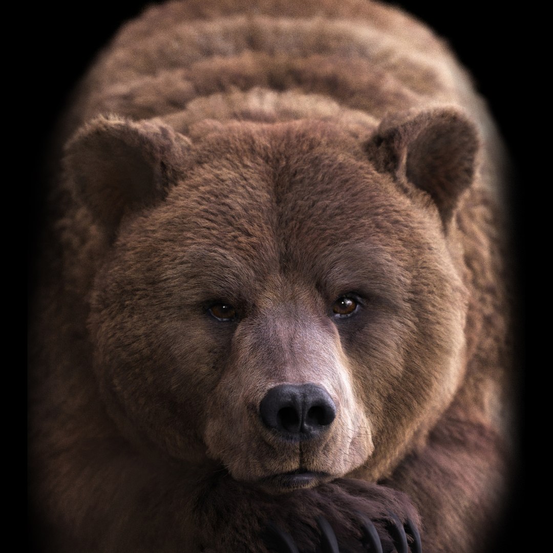 BEAR RIG XGEN-CORE 3D model - TurboSquid 2181155