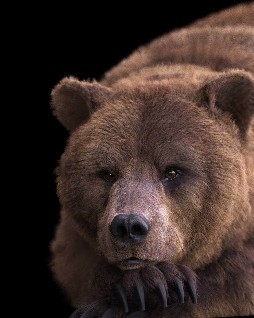 BEAR RIG XGEN-CORE 3D model - TurboSquid 2181155
