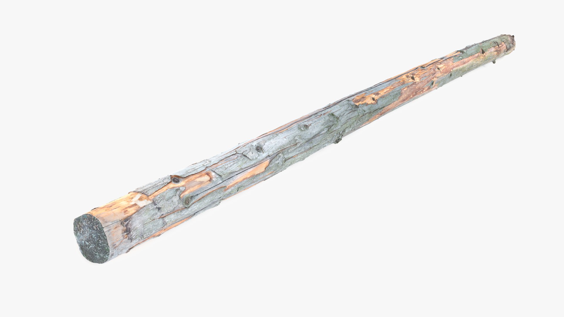 modo sculpt photorealistic 3d model