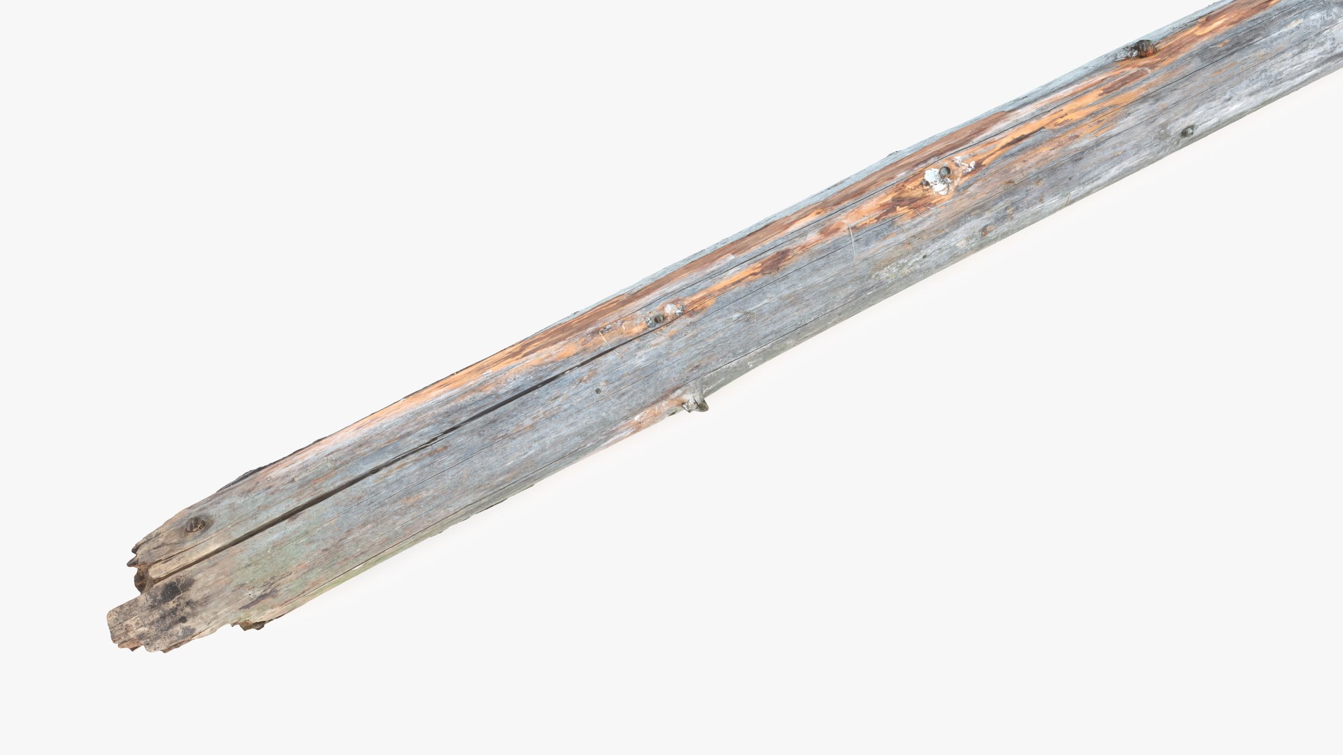 modo sculpt photorealistic 3d model