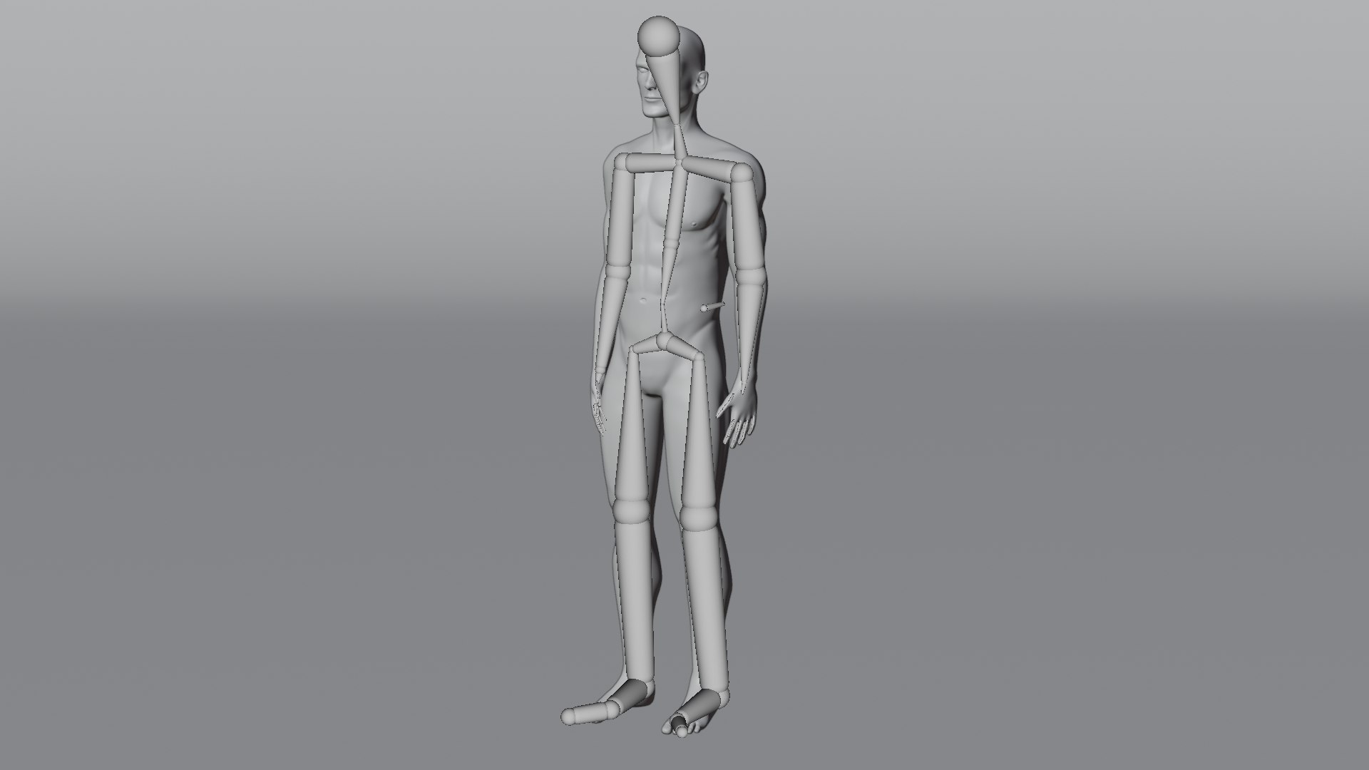 3D Dummy Rigged - TurboSquid 2240042