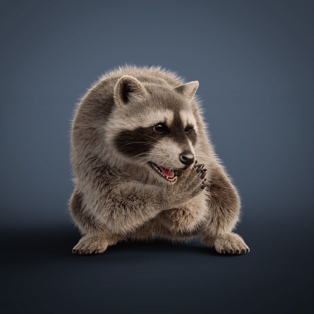 3D Raccoon Rigged Animated Model - TurboSquid 2203078