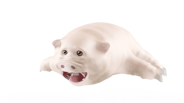 Pig model - TurboSquid 1421633