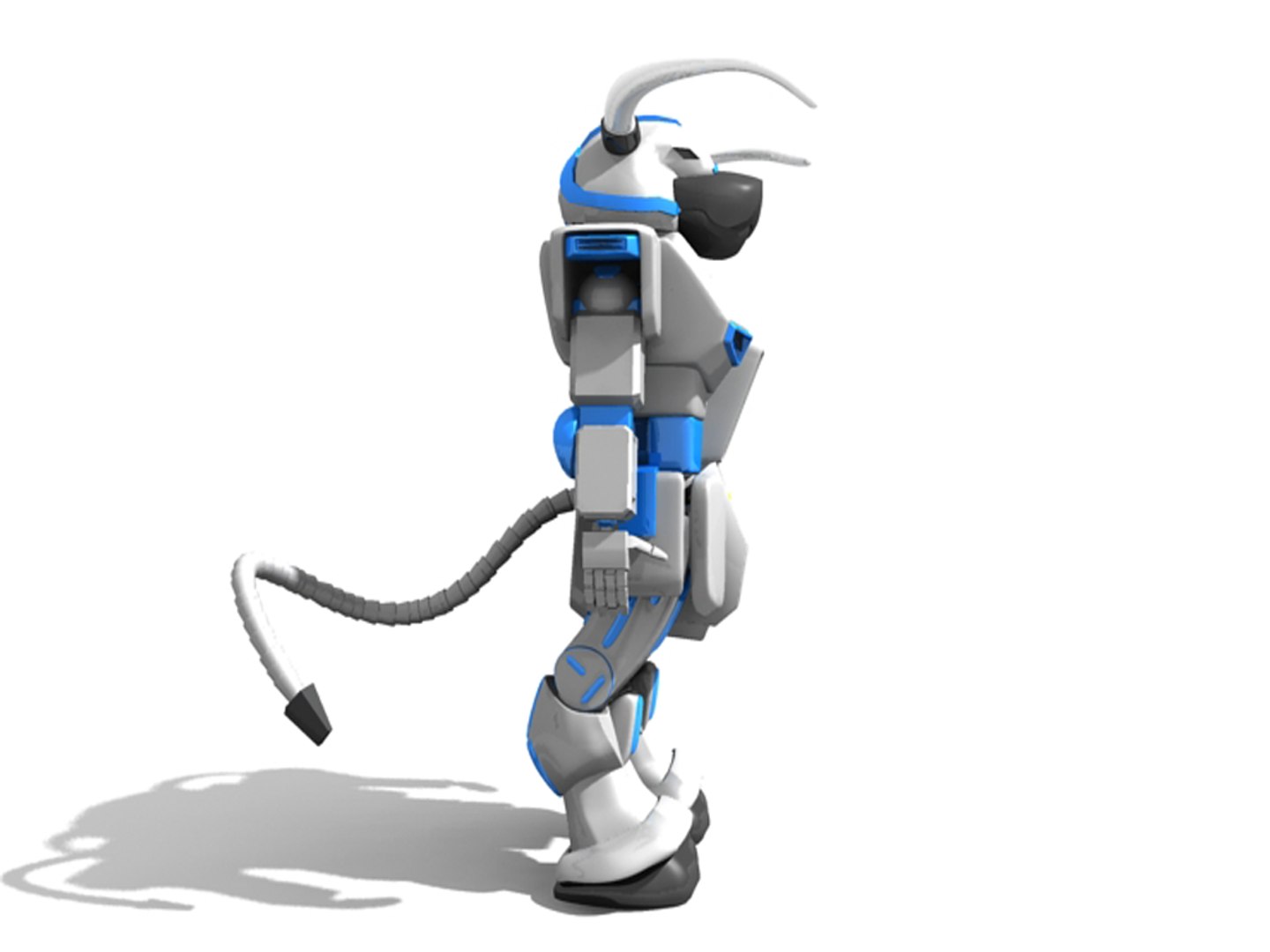 Bull 3D model - TurboSquid 561219