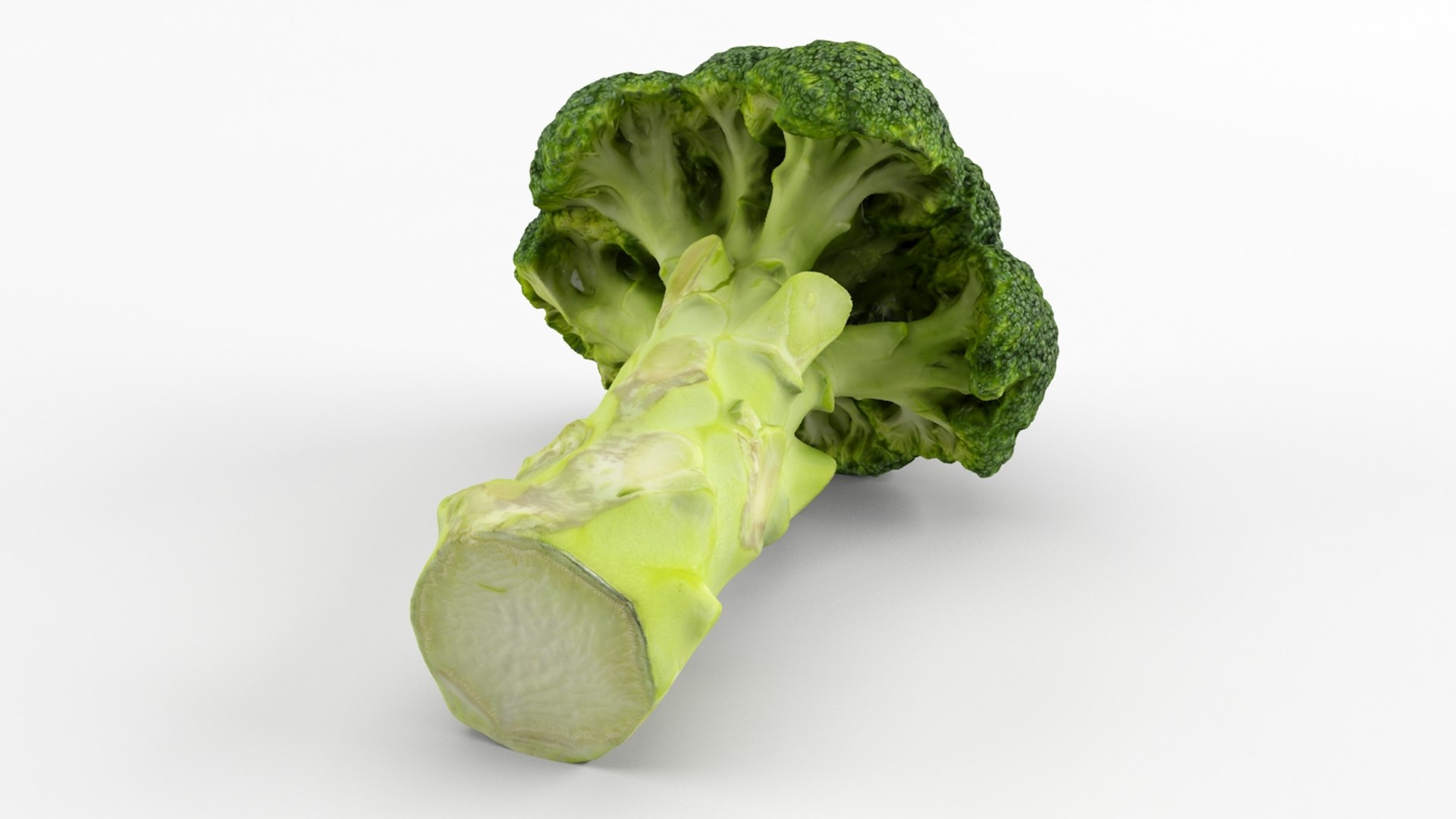 3d broccoli model
