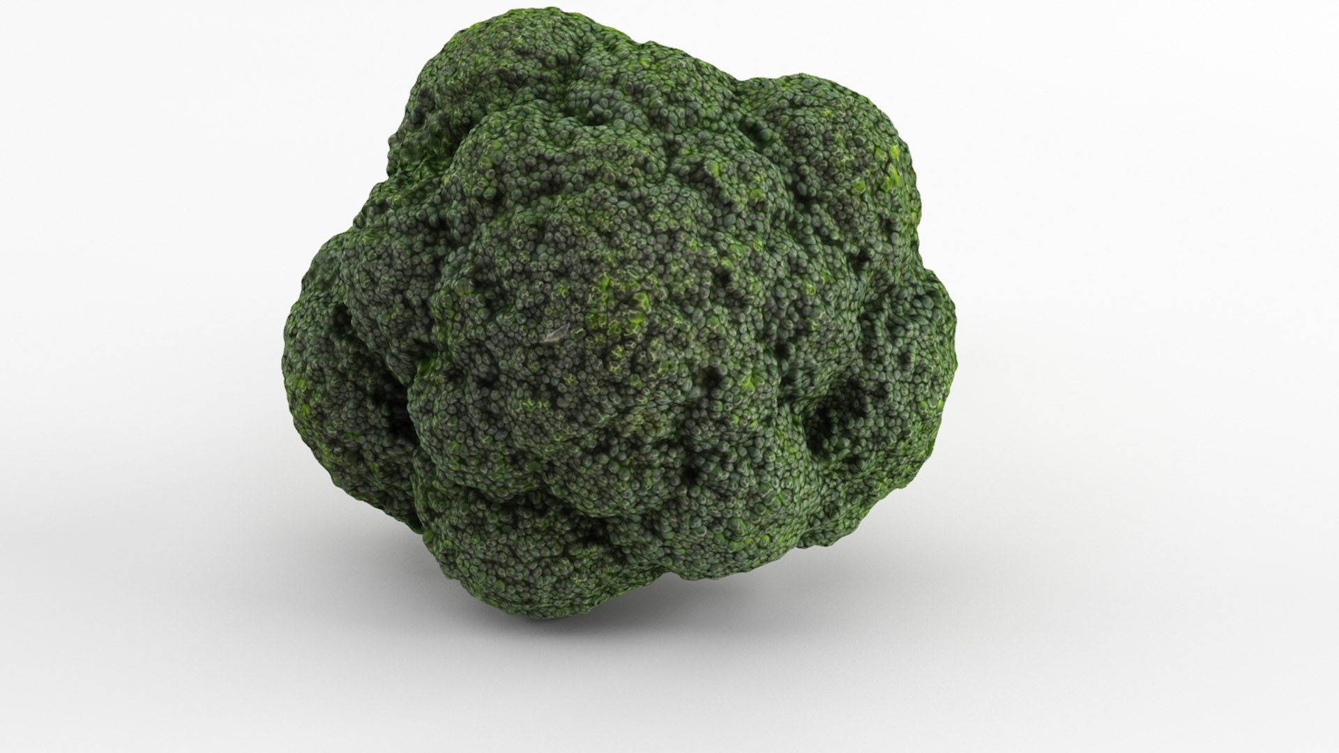 3d broccoli model