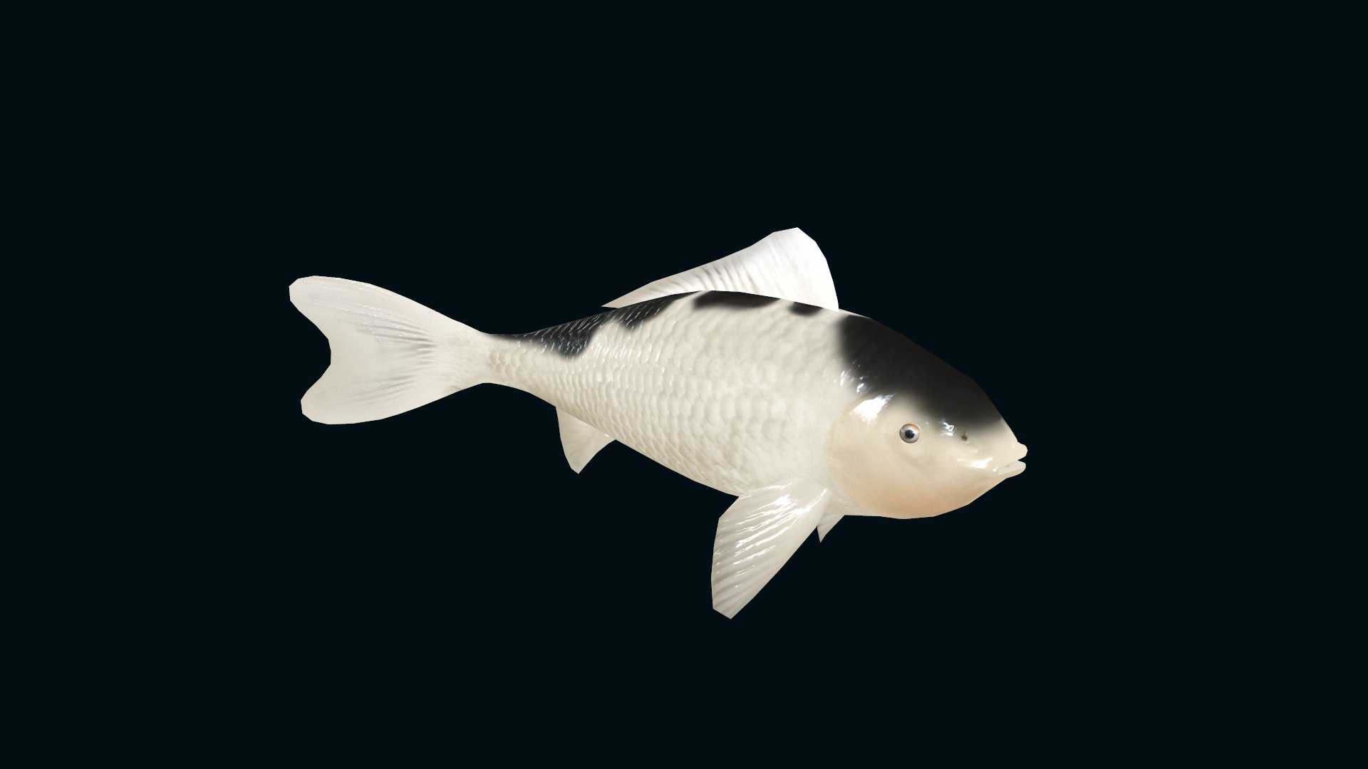 Animated Carp Koi 3D Model - TurboSquid 2152693