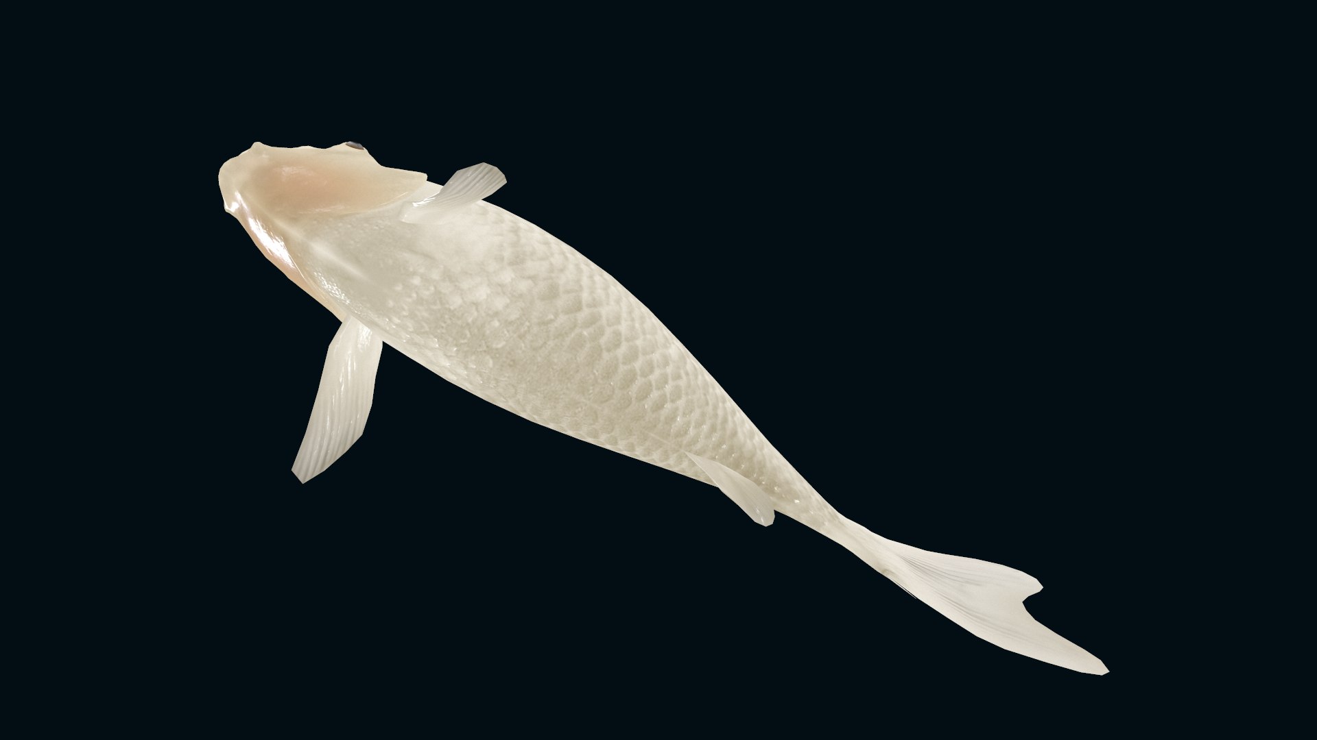 Animated Carp Koi 3D Model - TurboSquid 2152693