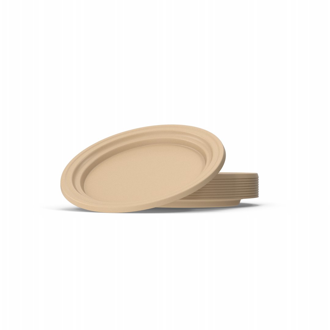 3D Stacked Paper Plates model - TurboSquid 2162701